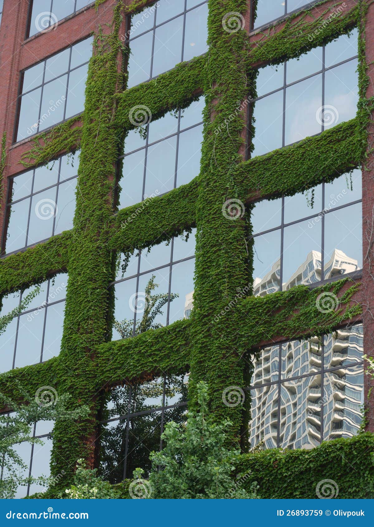 Building Covered with Leaves / Greenness Stock Image - Image of ...