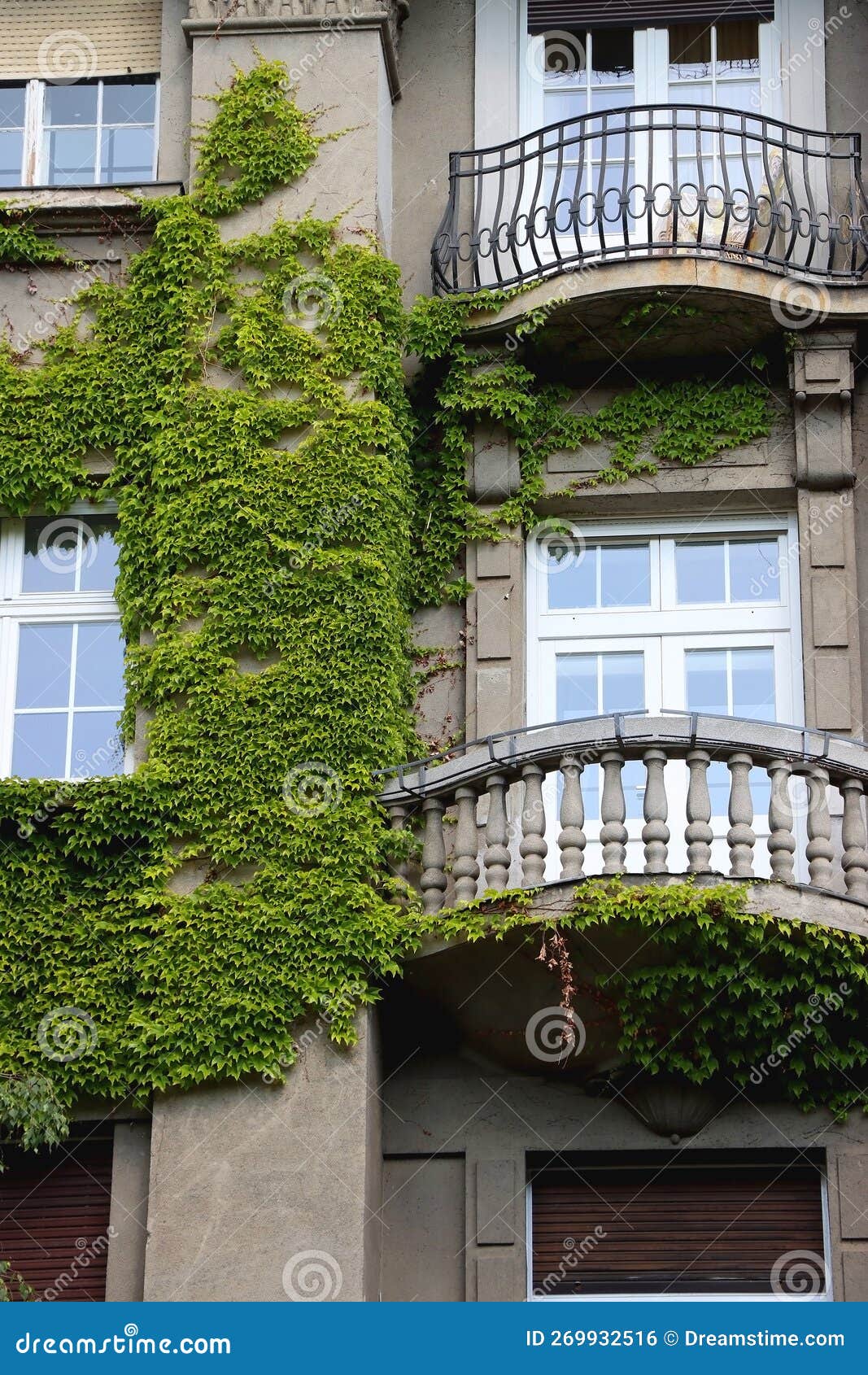 Building Covered in Plants stock photo. Image of scenic - 269932516