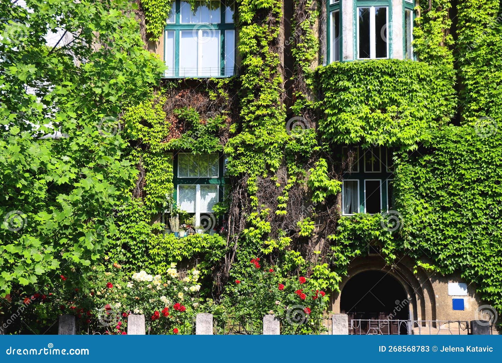 Building Covered in Plants stock image. Image of architecture - 268568783