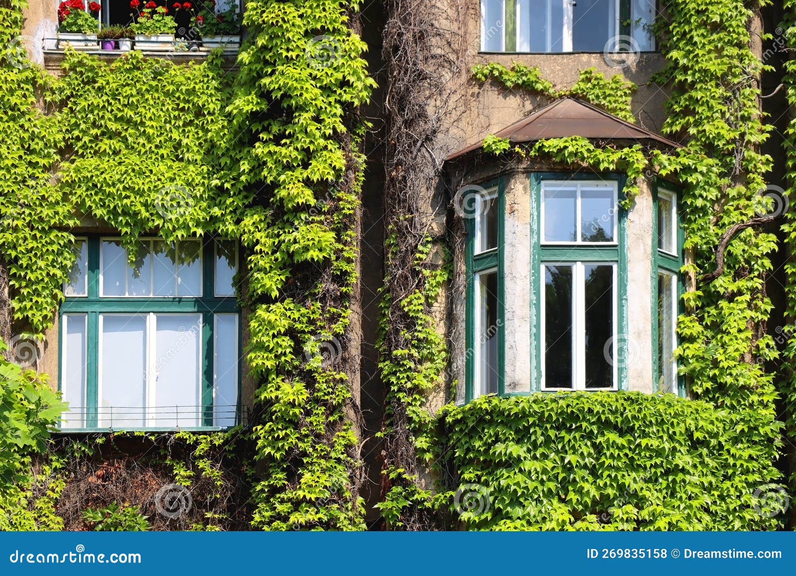 Building Covered in Plants stock photo. Image of close - 269835158