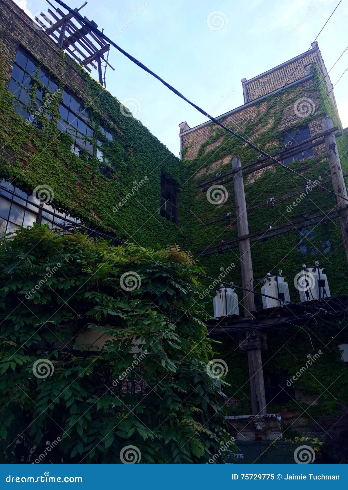 Building Covered with Vines in Sec;used Spot Stock Image - Image of ...