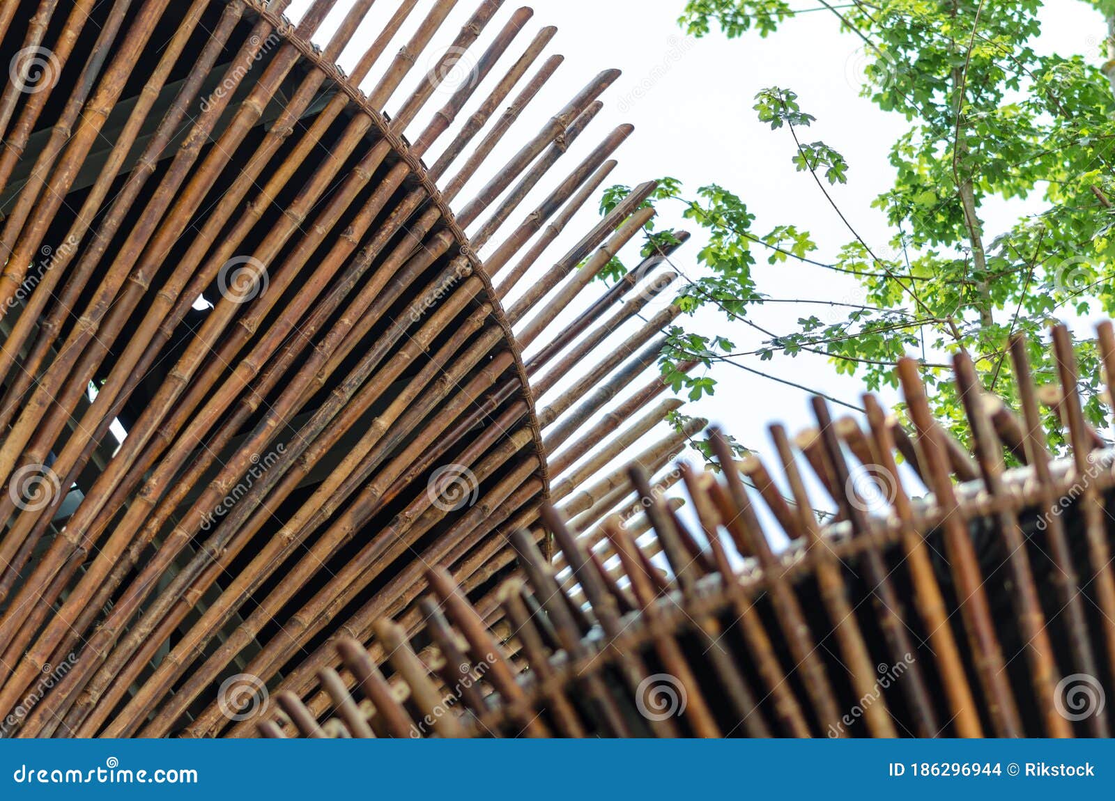 Building with Decorative Structure Made of Bamboo Canes Stock Photo ...