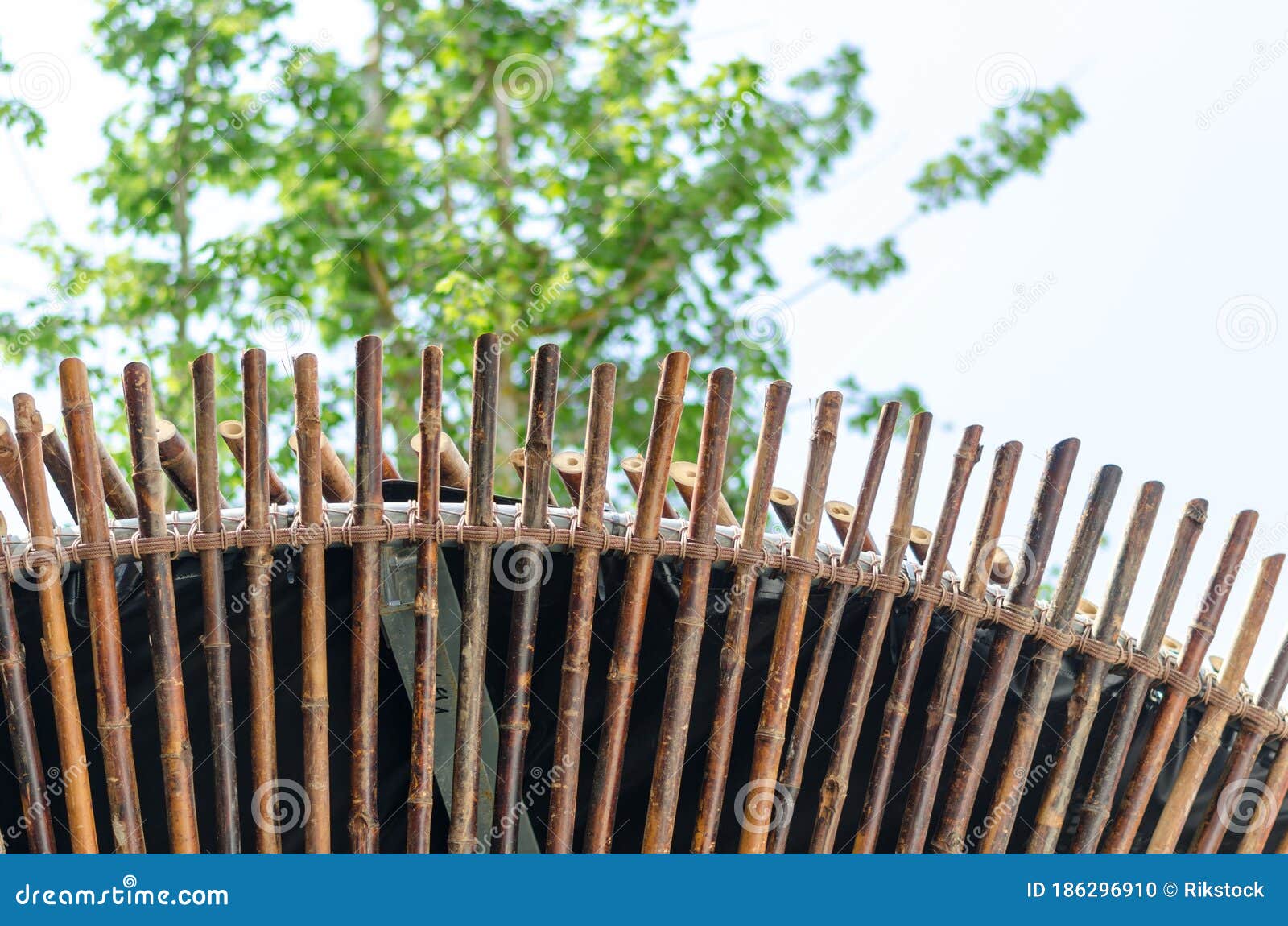 Building with Decorative Structure Made of Bamboo Canes Stock Photo ...