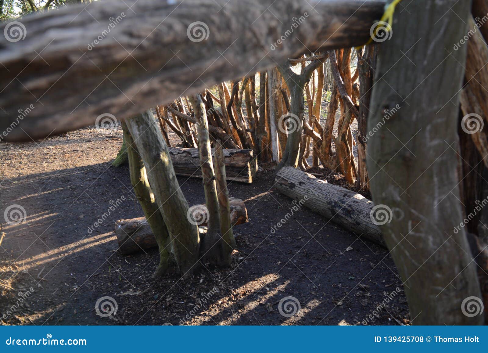Building a den outdoors stock photo. Image of forest - 139425708