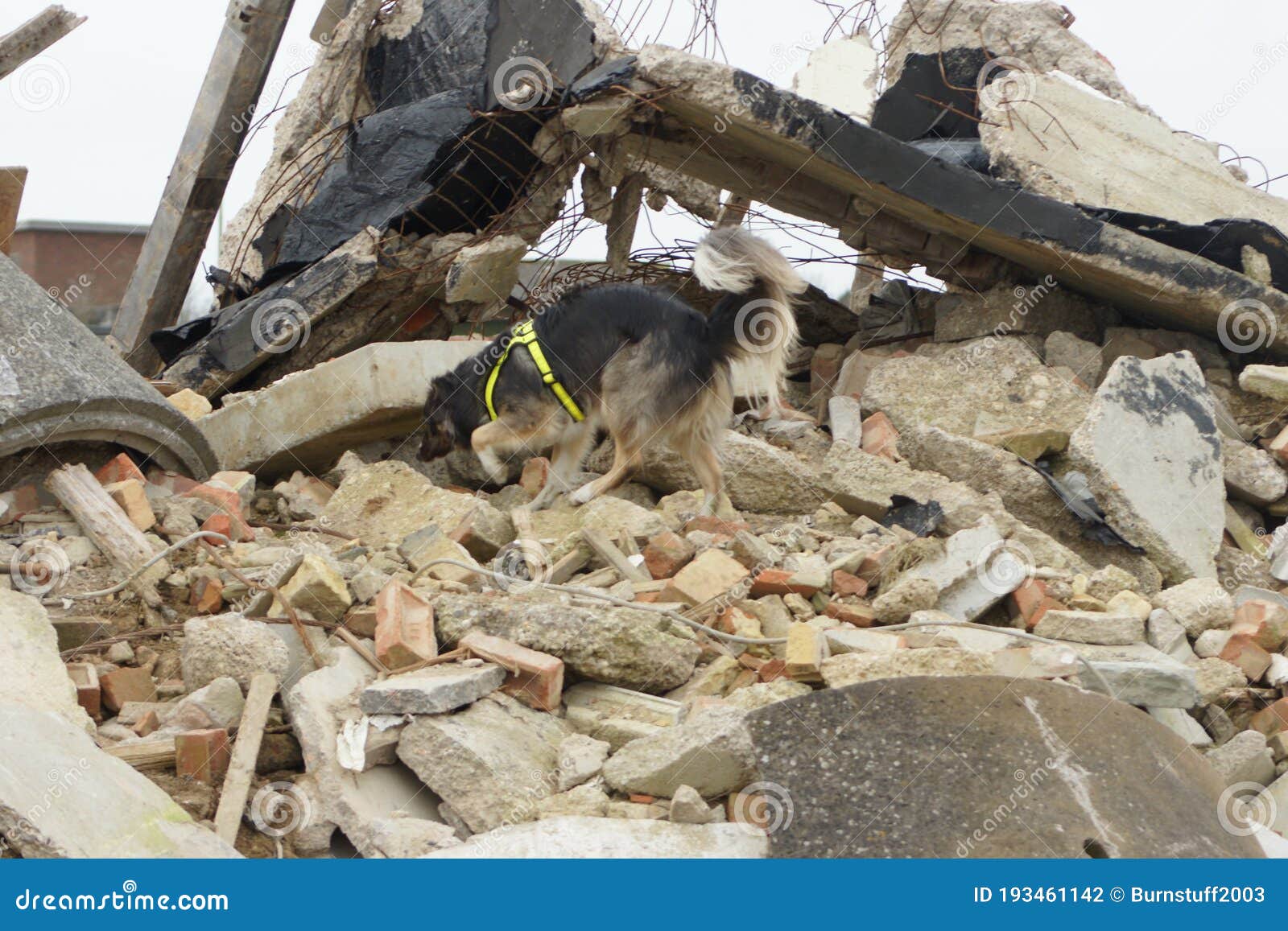 Building Destroyed, Explosion and Collapses, Stock Photo - Image of ...