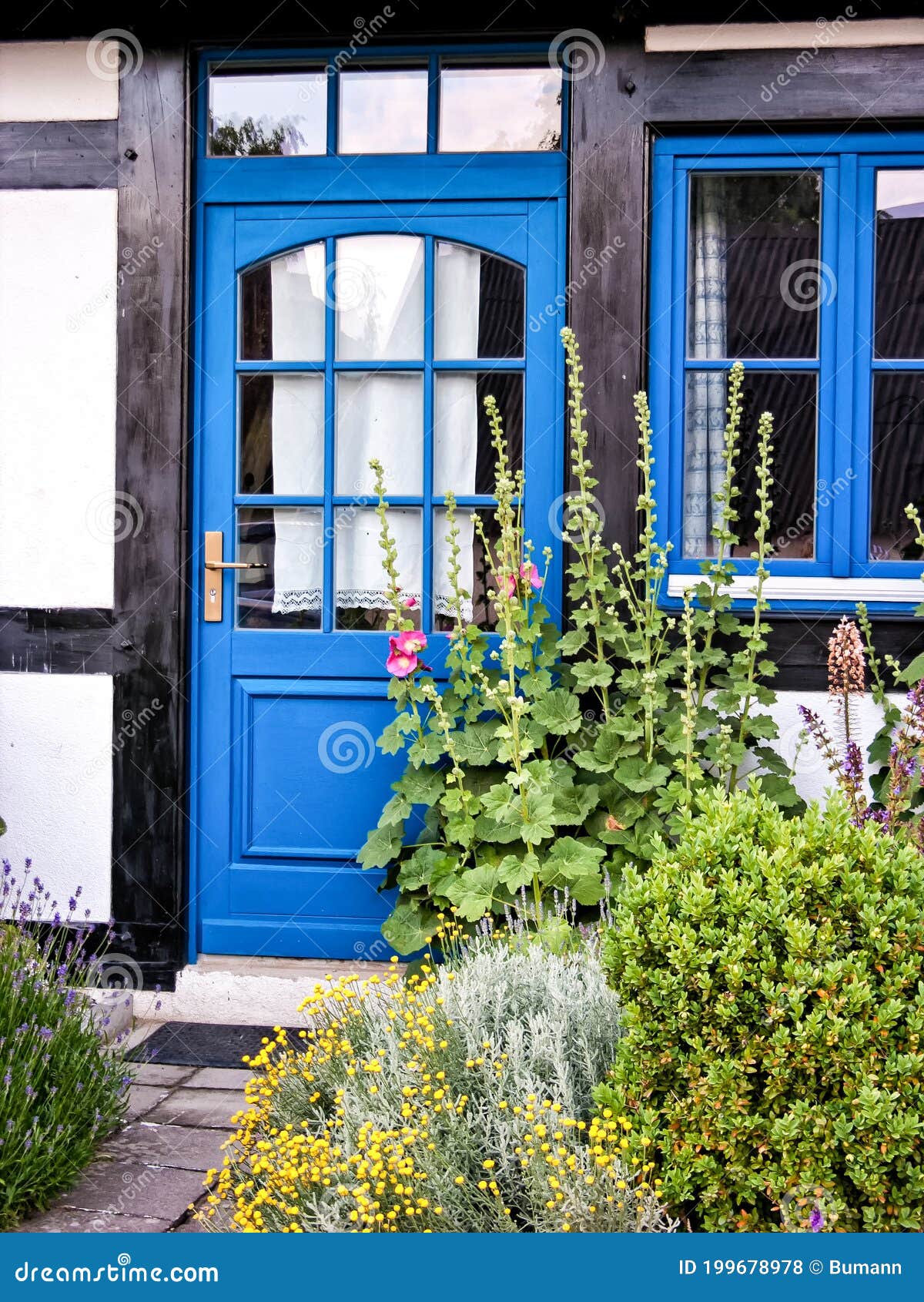 Building, Detailed View of a Front Door or Entrance Door Stock Photo ...
