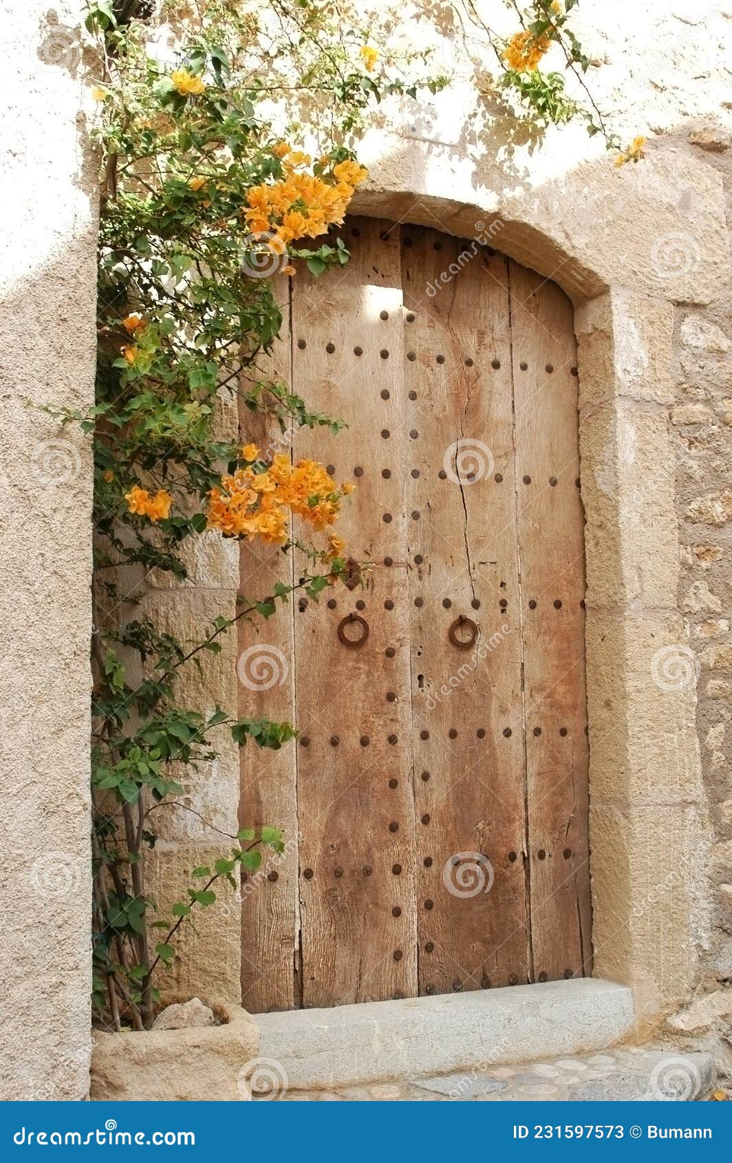 Building, Detailed View of a Front Door or Entrance Door Stock Image ...