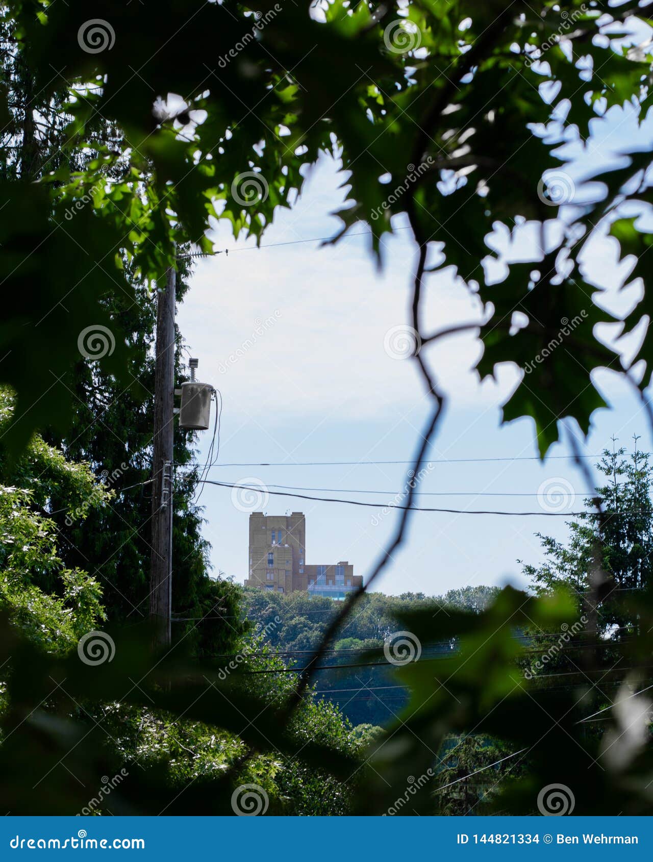 Building through the Trees stock photo. Image of park - 144821334