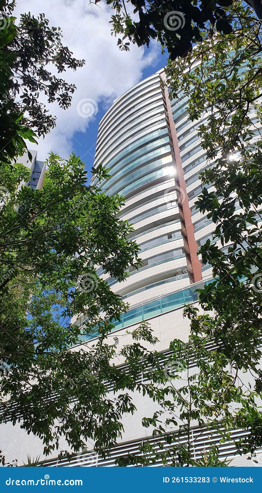 Building on the Edge of the Coco Forest Stock Image - Image of ...