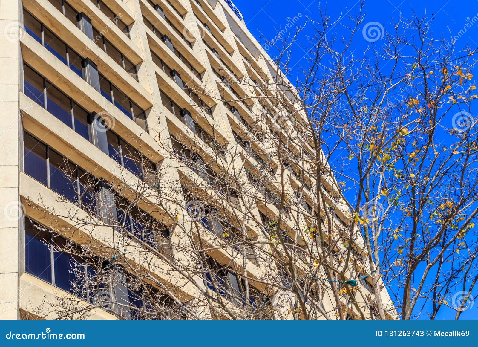 Tree Trimming Green Building Facade
