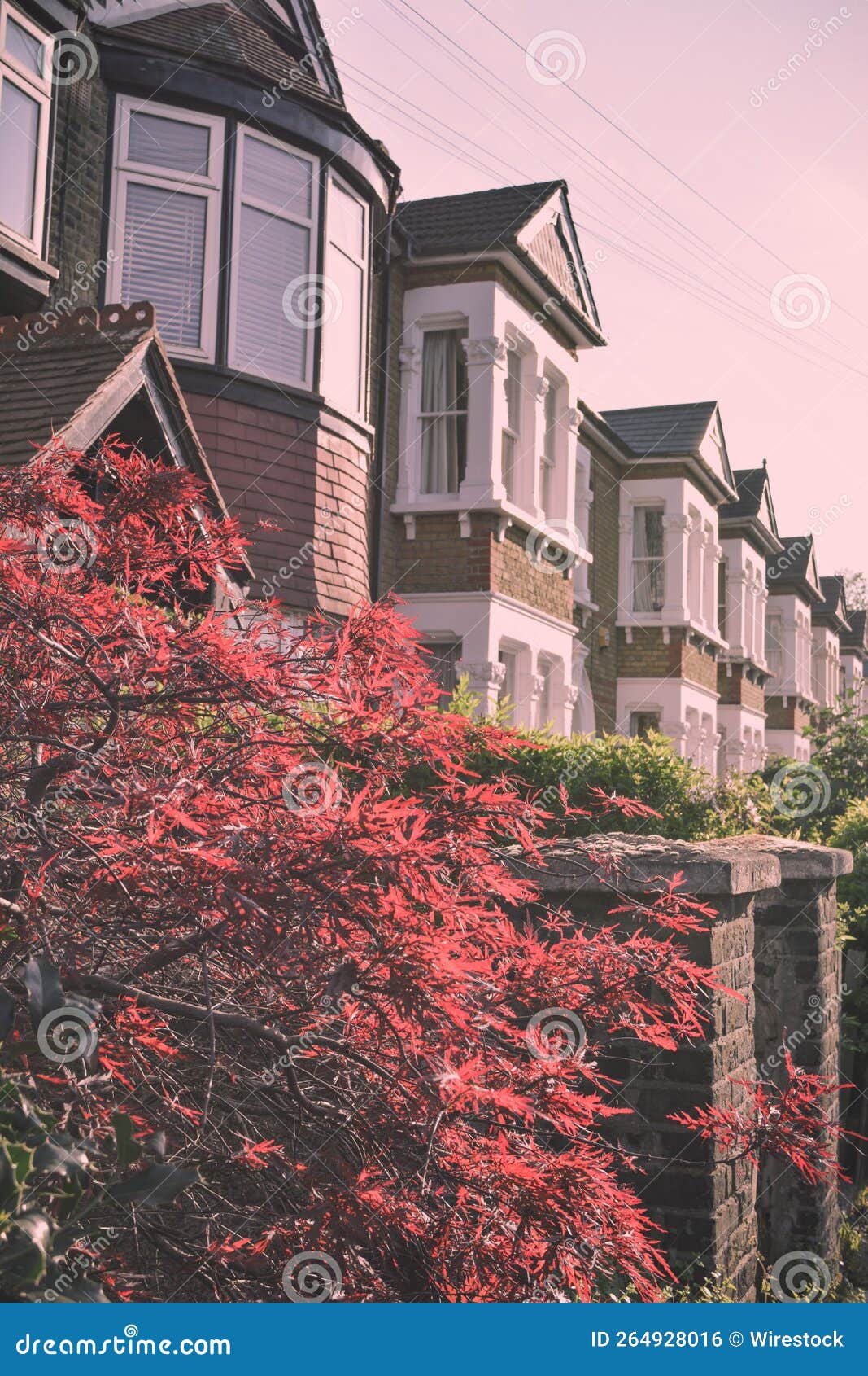 Building Facades Surrounded by Blooming Trees Stock Photo - Image of ...