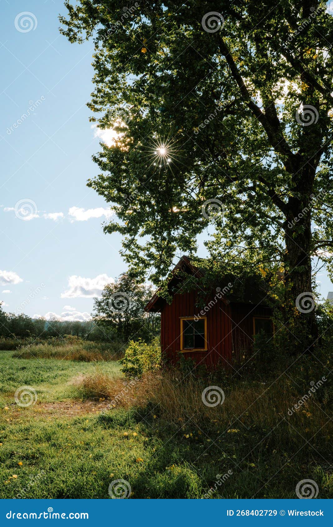 Building in Field Surrounded by Trees Stock Image - Image of rural ...