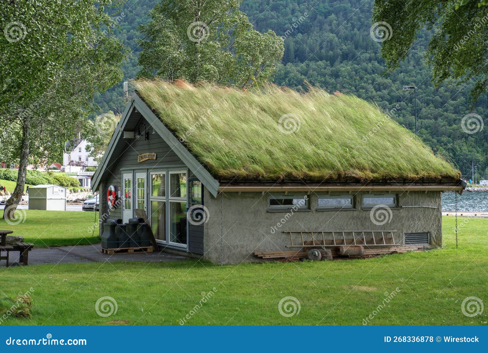 Building in Forest Surrounded by Dense Trees in Kinsarvik Editorial ...