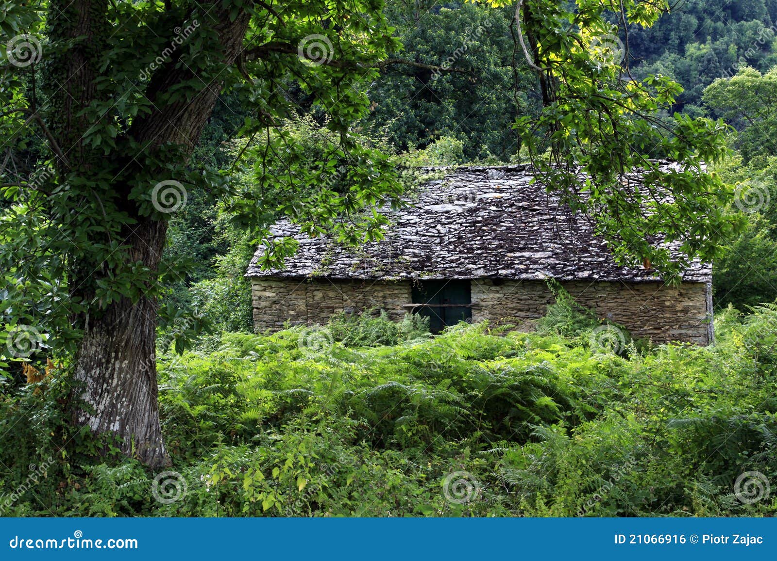 Building in forrest stock photo. Image of travel, corsica - 21066916