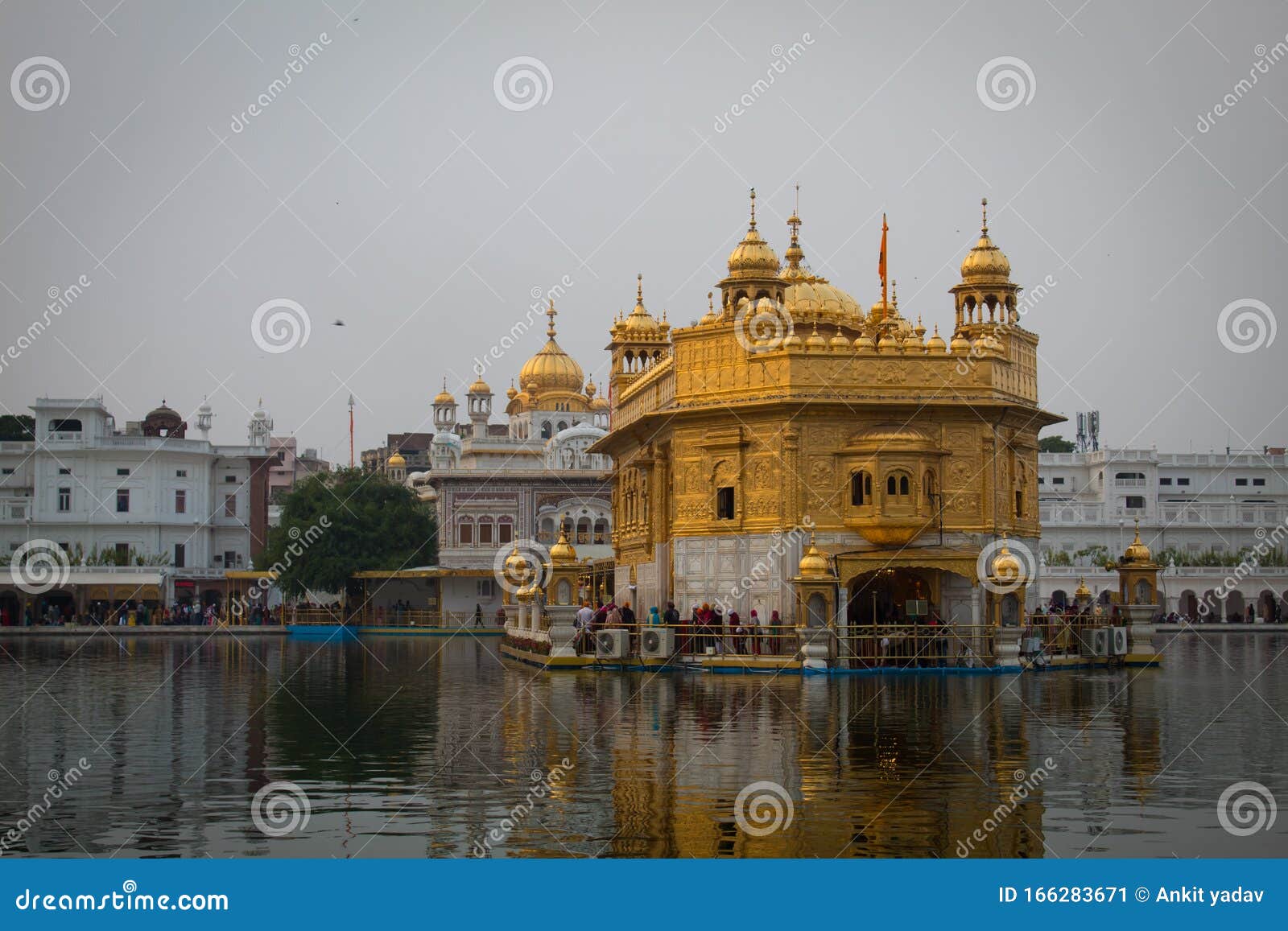 Building of Harminder Sahib in Amritsar Punjab India Stock Image ...