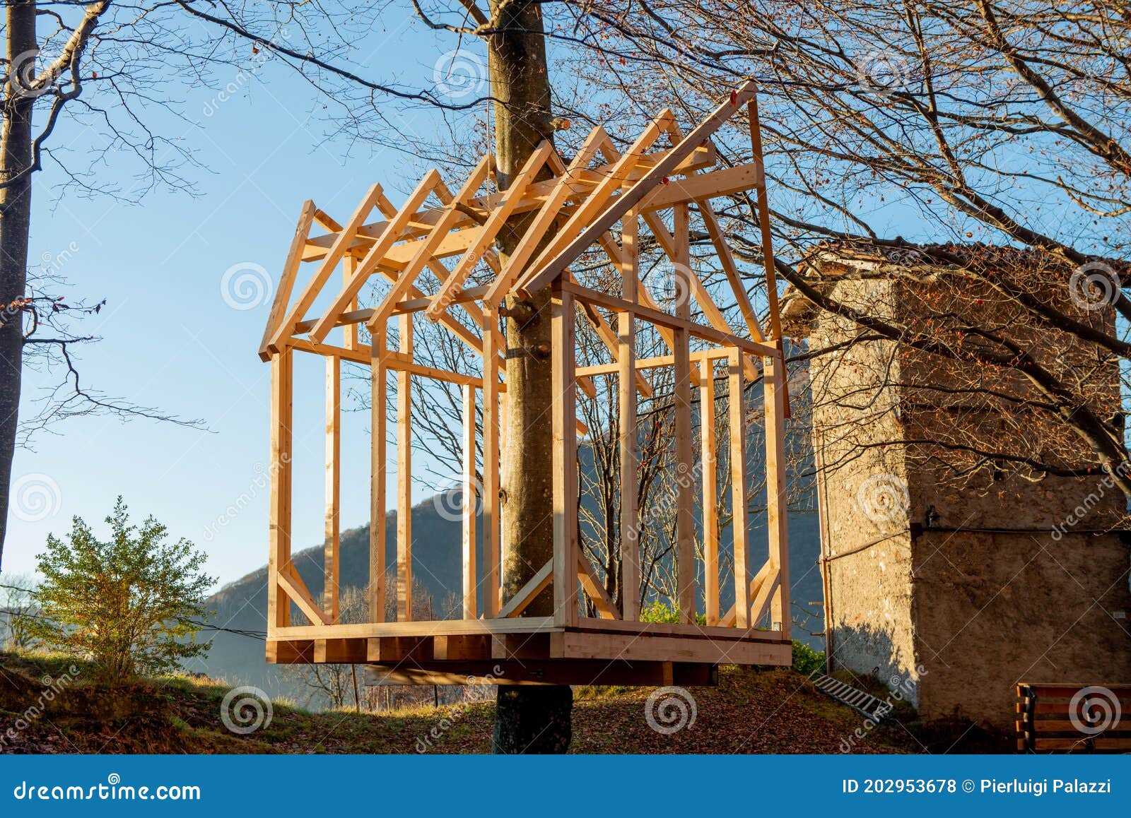 Skeleton of a wooden house stock photo. Image of framing - 202953678