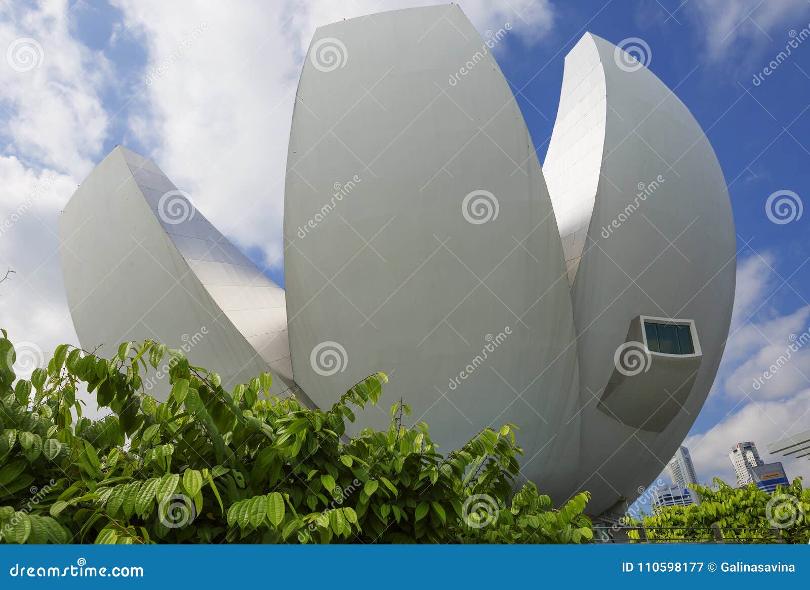 Singapore, Museum of Science and Art. Stock Image - Image of flower ...