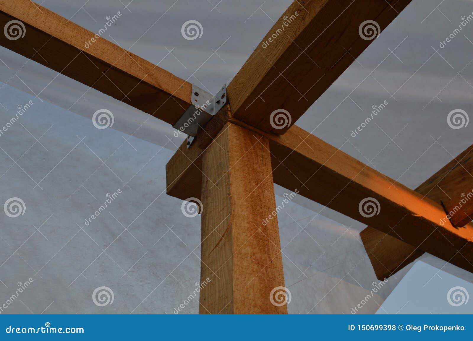 Building Knots and Designs from a Tree, Fastening of a Framework Stock ...