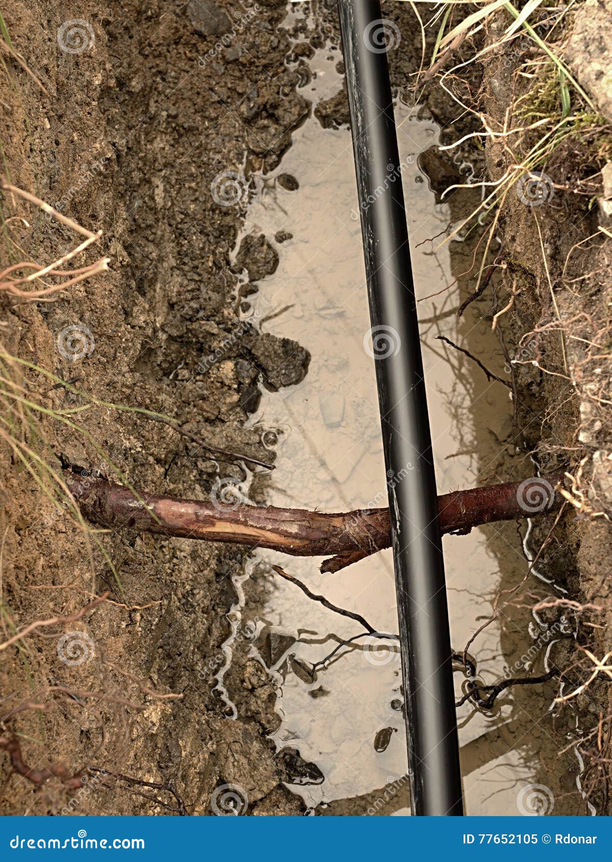 Building of Lines of Metallic and Fiber Optic Cables. Laying ...