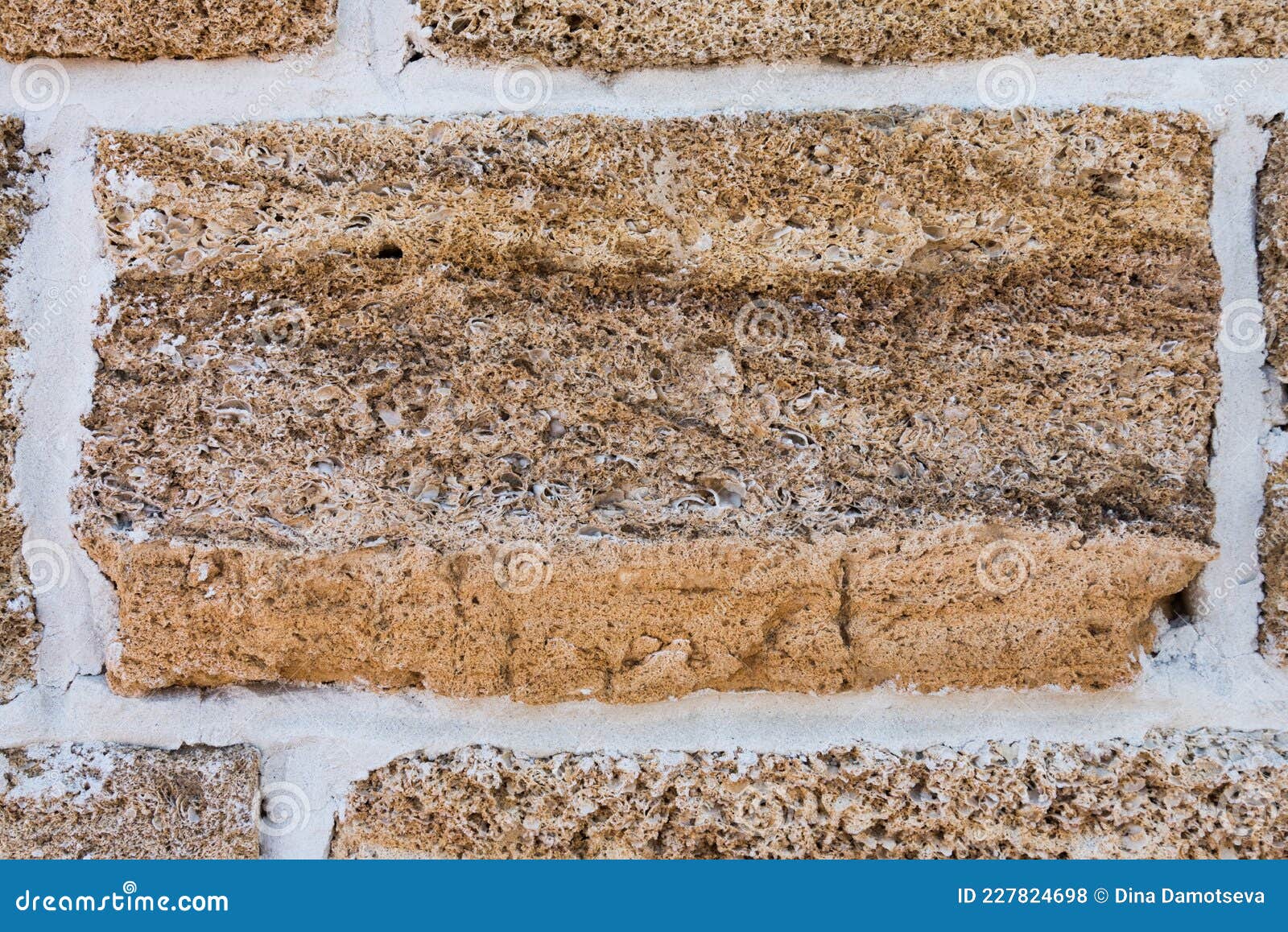 Building Material Texture. Bricks Formed by Seashells Stock Photo ...