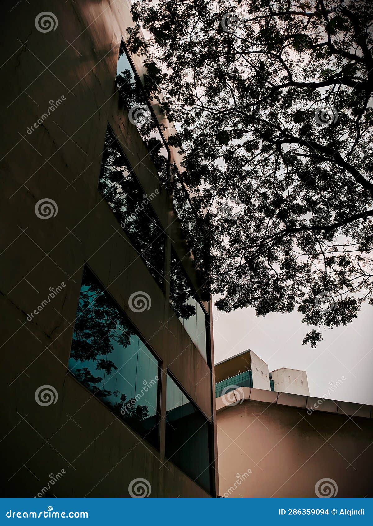 The Building Object and the Tree at Parking Space Stock Photo - Image ...