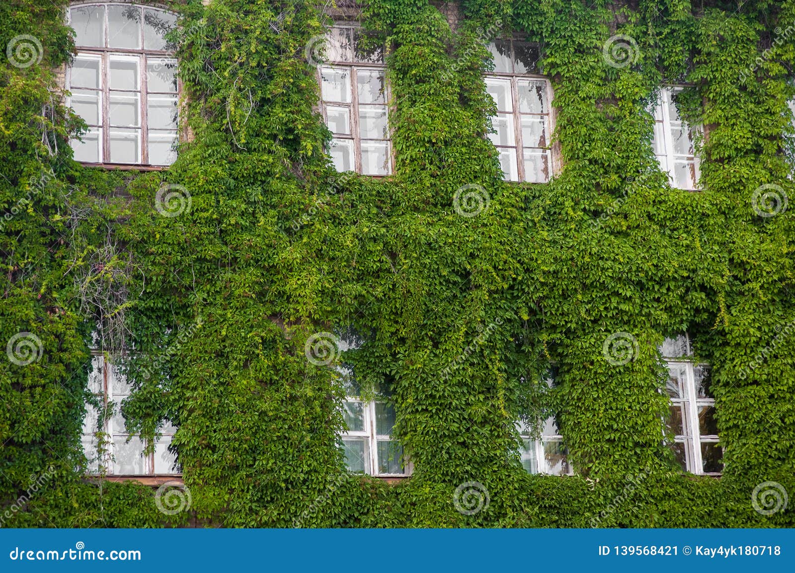 The Building is Overgrown with Greenery. Nature Takes Her Back Stock ...