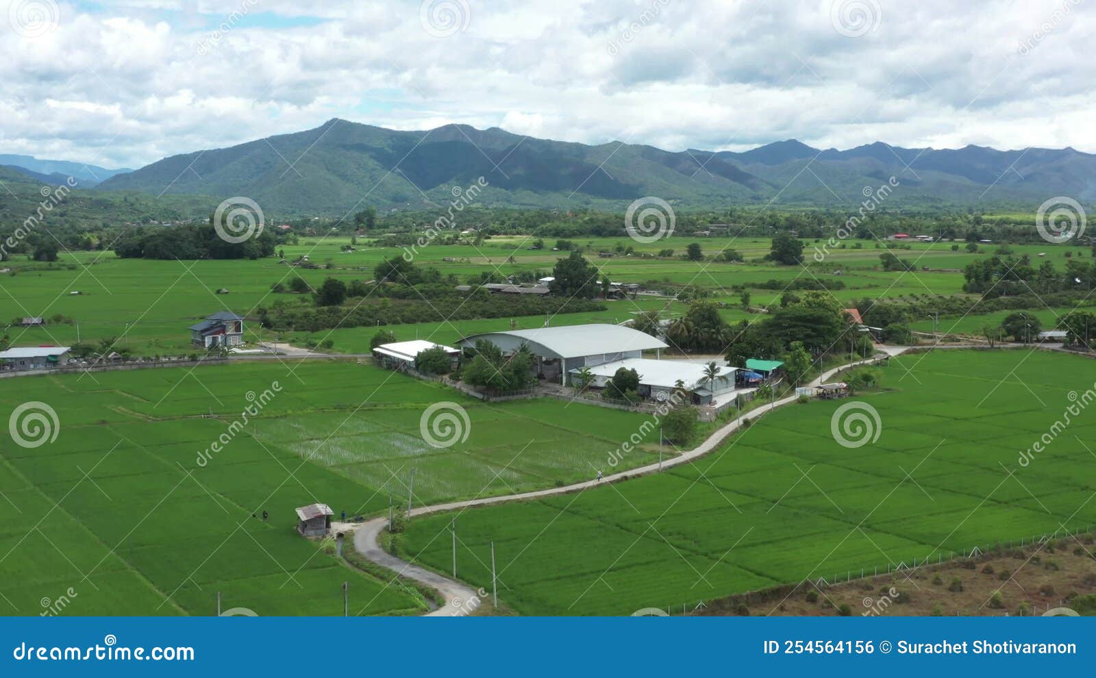 Building beside of Paddy Field from Drone View. Stock Footage - Video ...