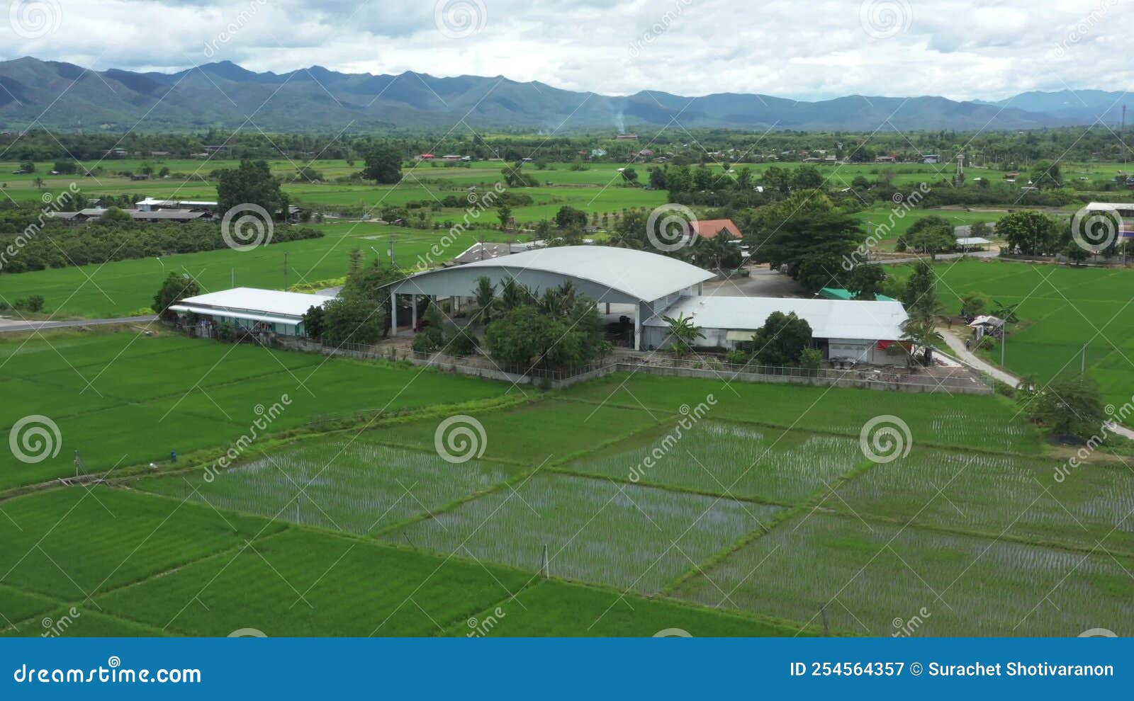 Building beside of Paddy Field from Drone View. Stock Video - Video of ...