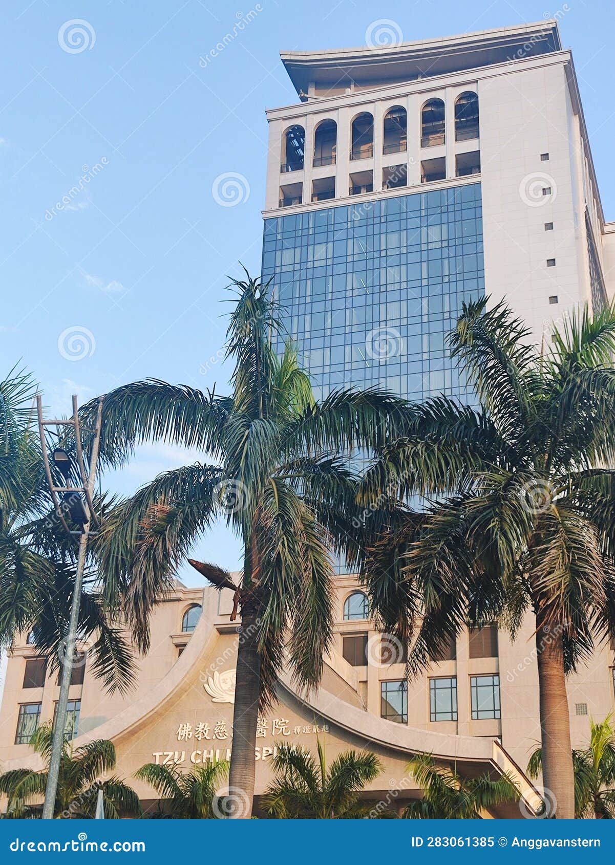 Building and Palm Tree Amazing Editorial Image - Image of morning ...