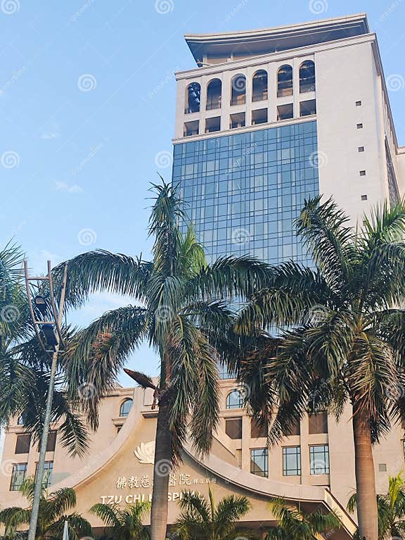 Building and Palm Tree Amazing Editorial Image - Image of morning ...