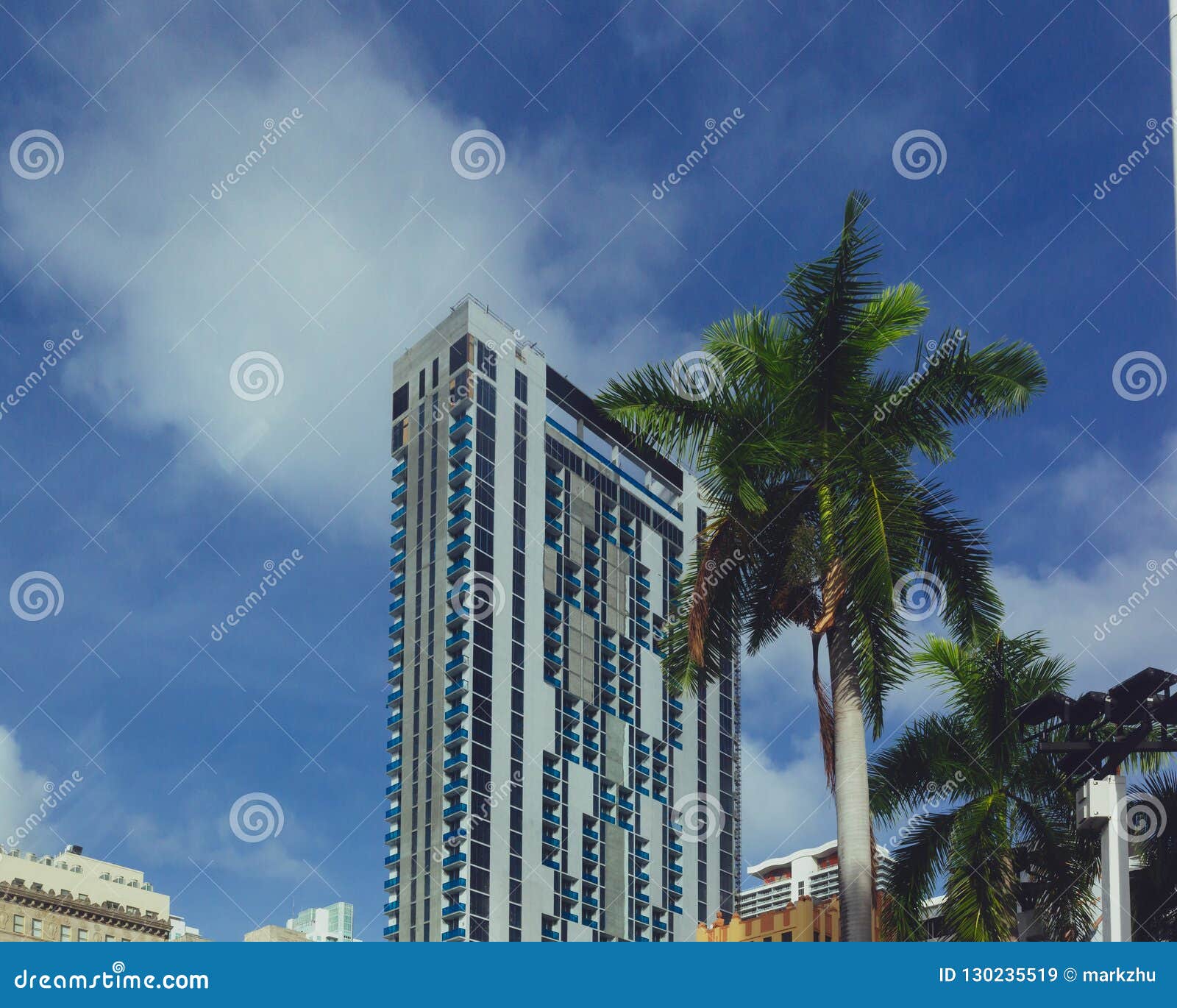 Building by Palm Tree in Downtown Miami, Florida, USA Stock Image ...