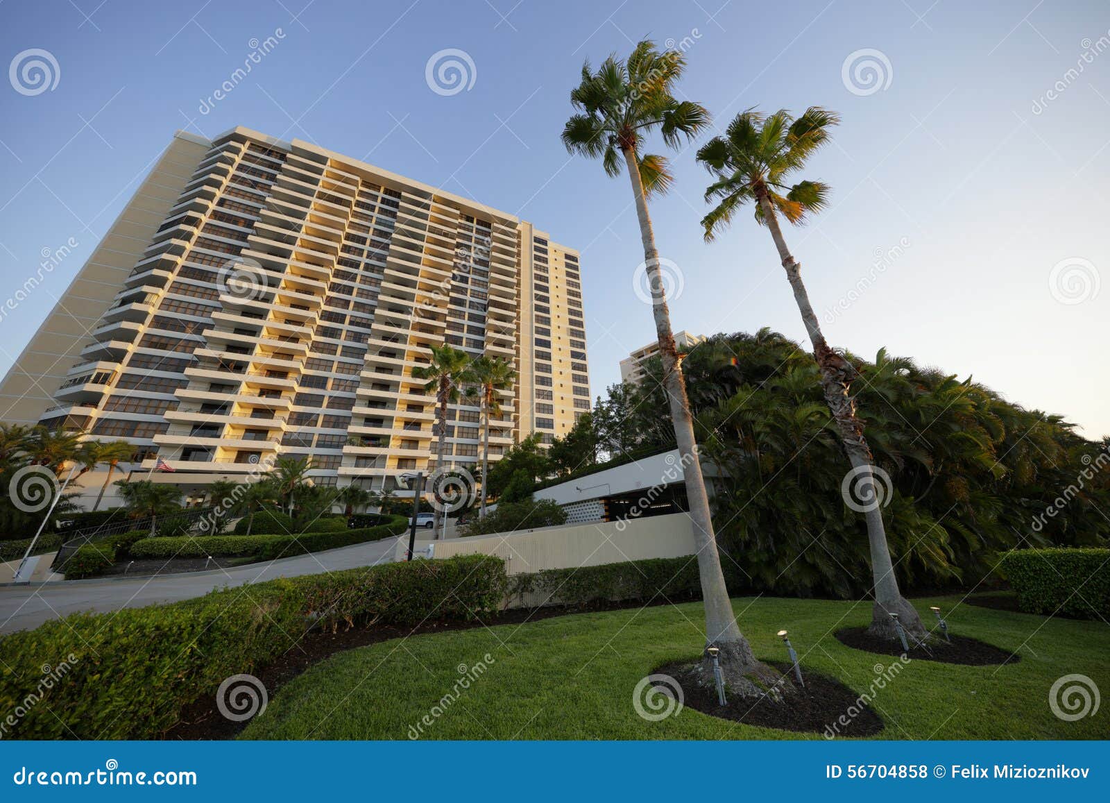Building with palm trees stock photo. Image of ultra - 56704858