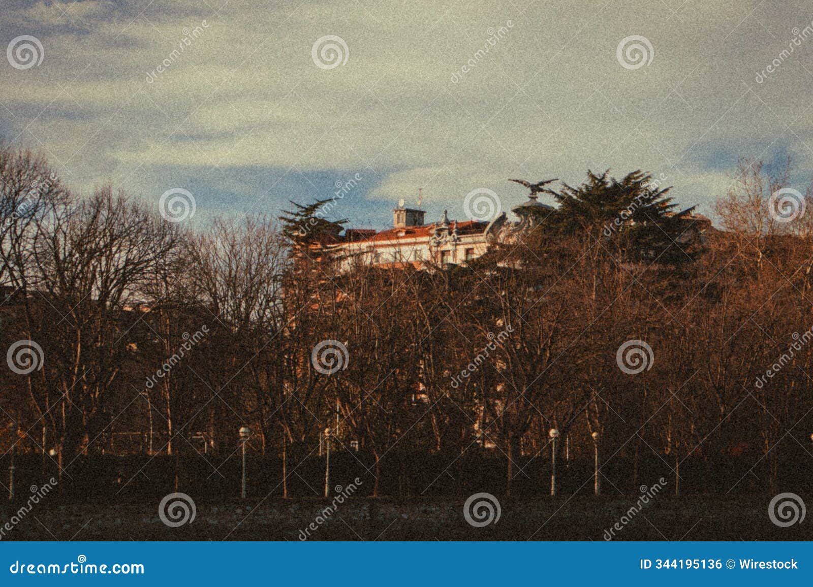 Building Partially Hidden Behind Trees Stock Photo - Image of facade ...