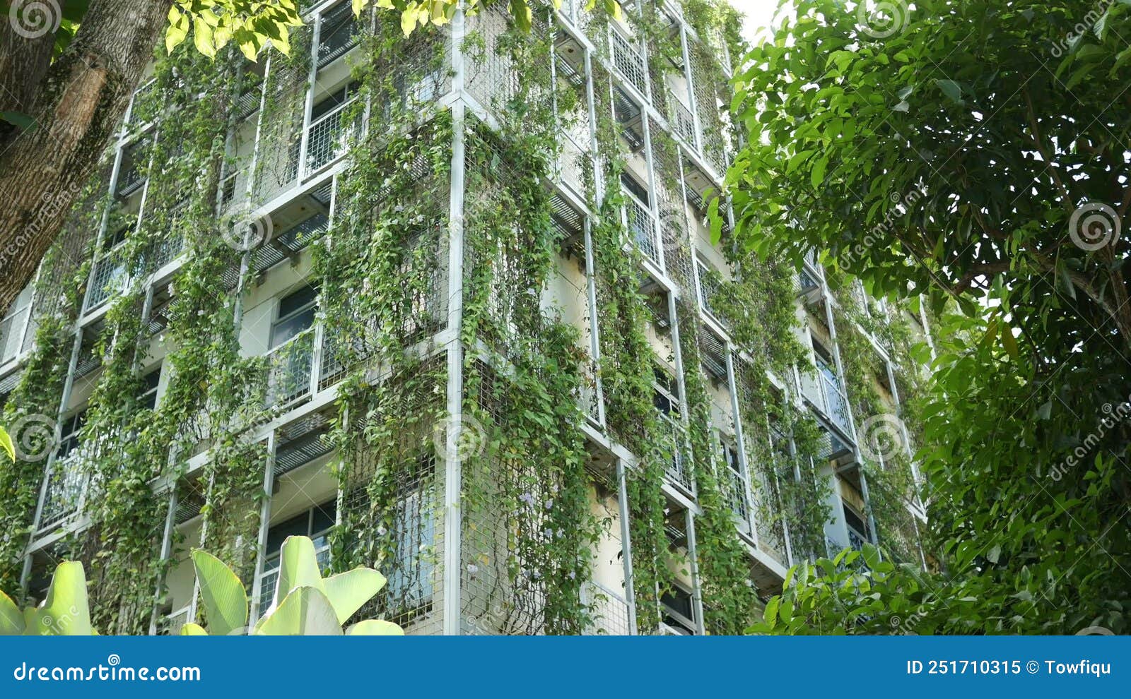 Building with Plants Growing on the Facade Stock Video - Video of ...