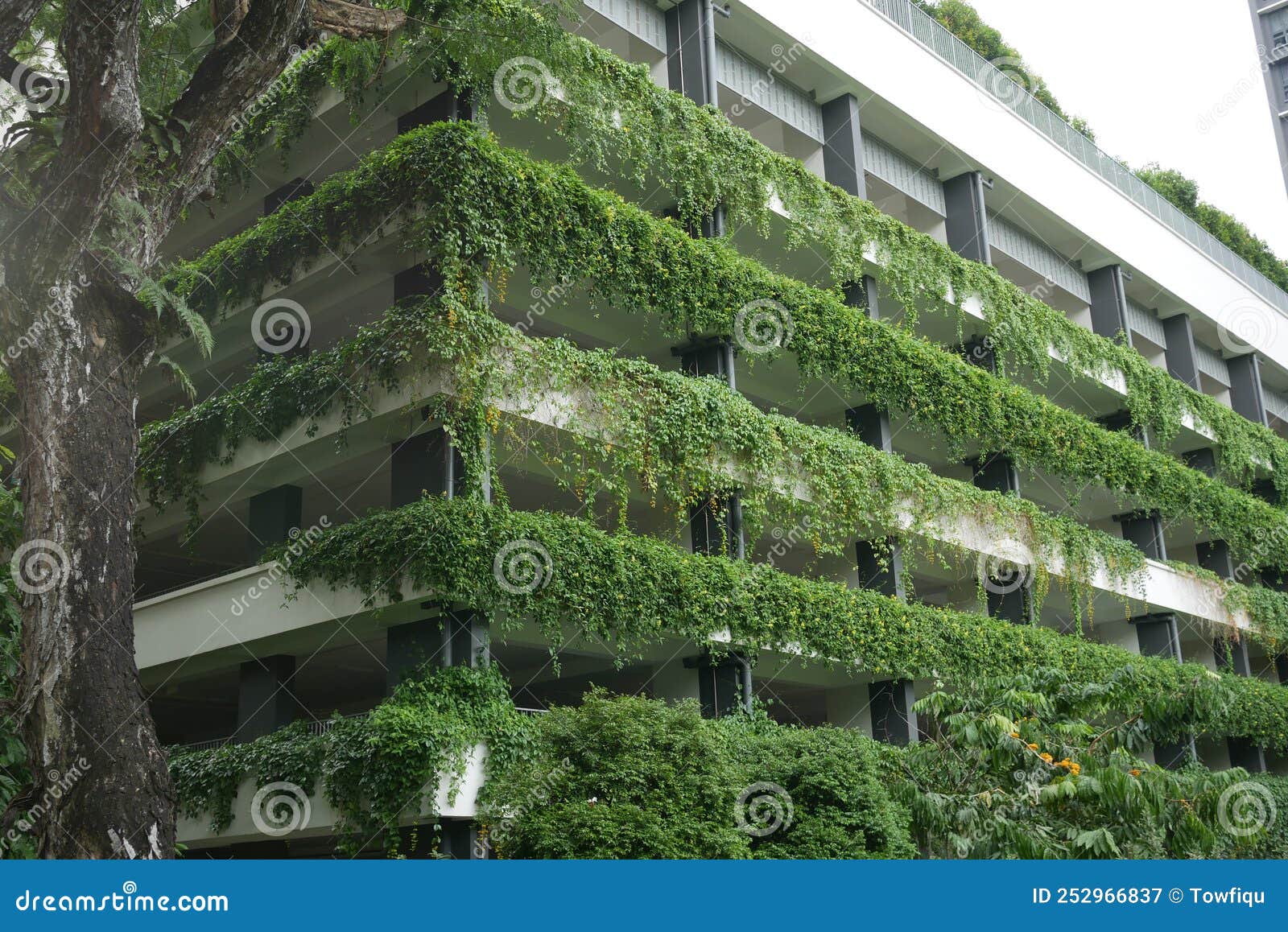 Building with Plants Growing on the Facade Stock Image - Image of ...