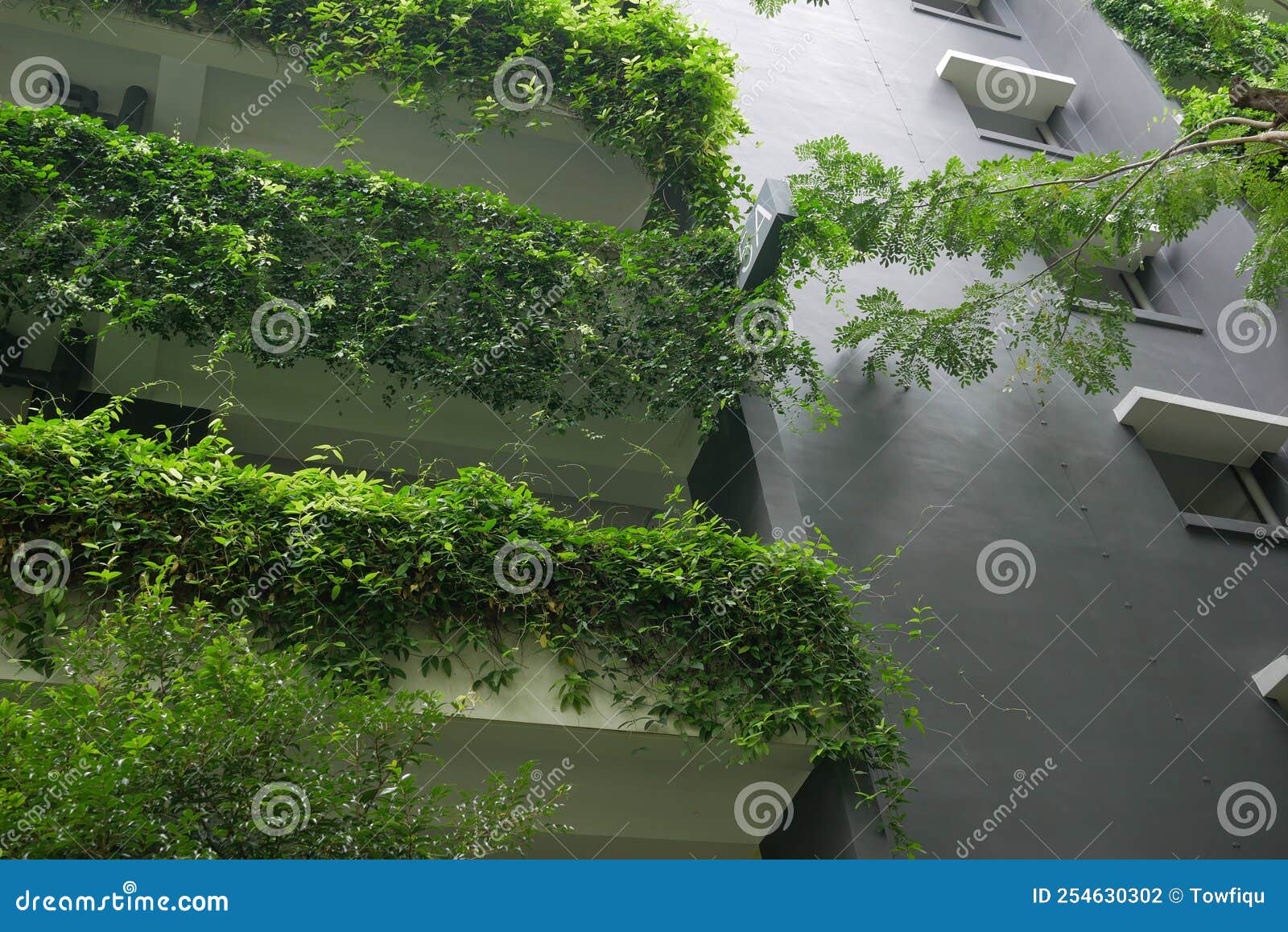 Building with Plants Growing on the Facade Stock Photo - Image of ...