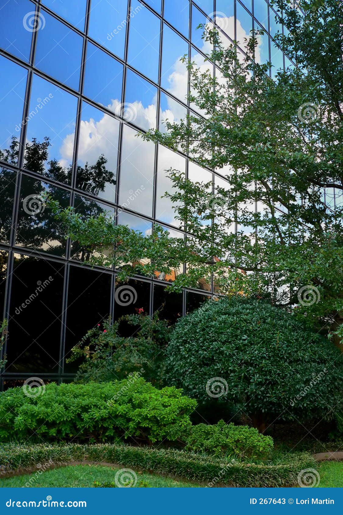 Building with Reflection stock image. Image of shrubs, reflection - 267643