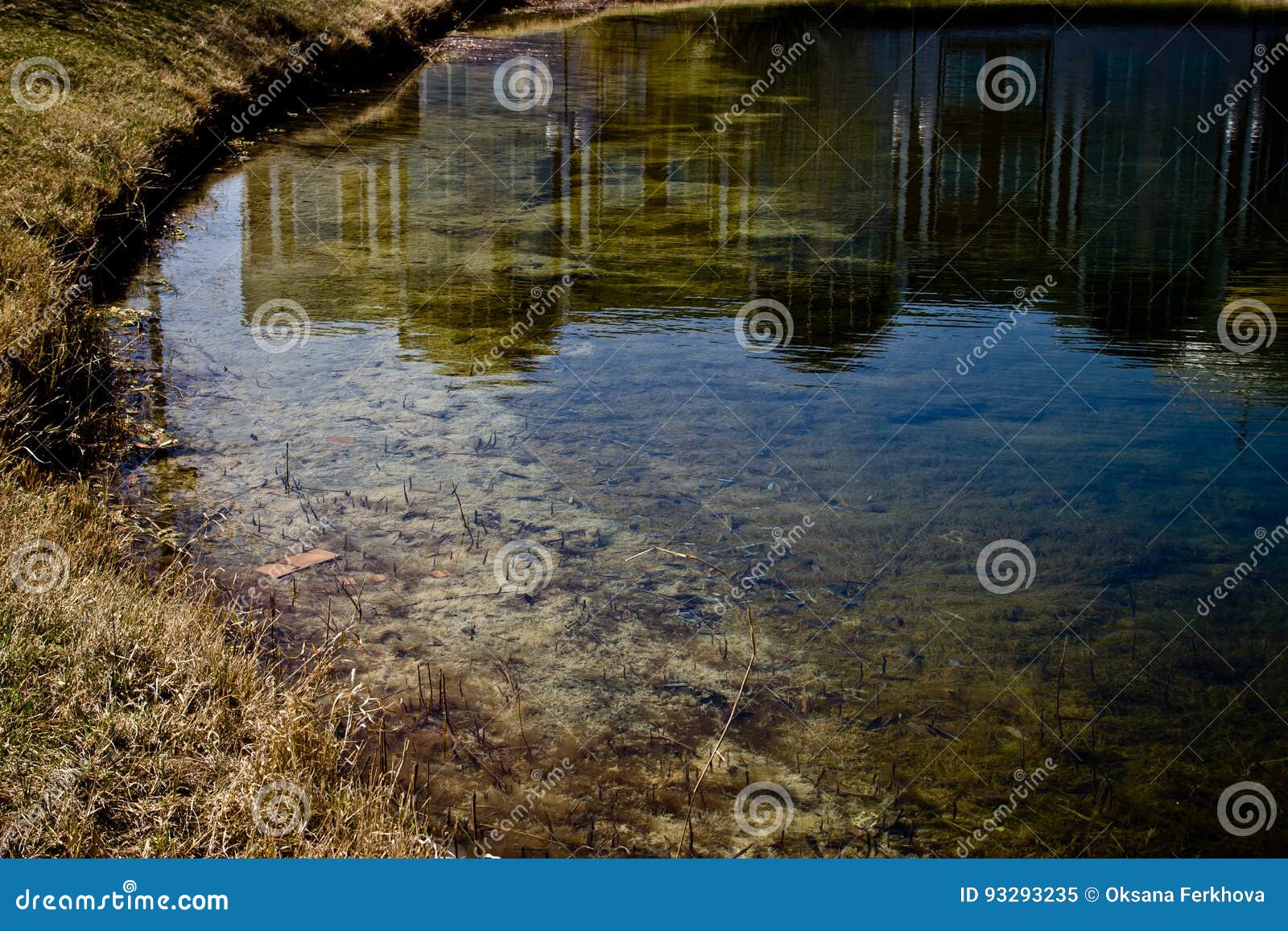 Building Reflection on Water. the Bottom of the Lake, the Swamp Stock ...