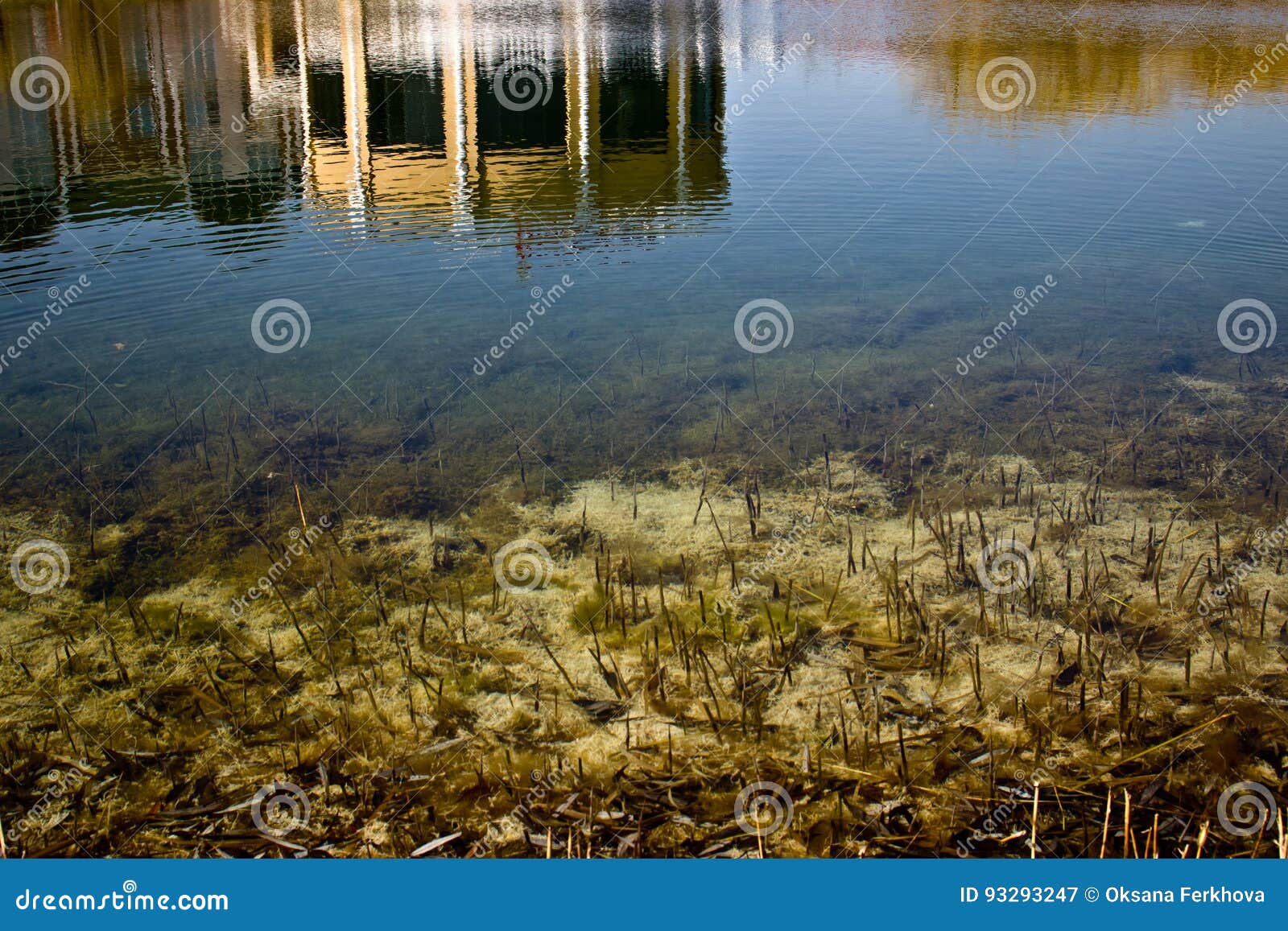 Building Reflection on Water. the Bottom of the Lake, the Swamp Stock ...