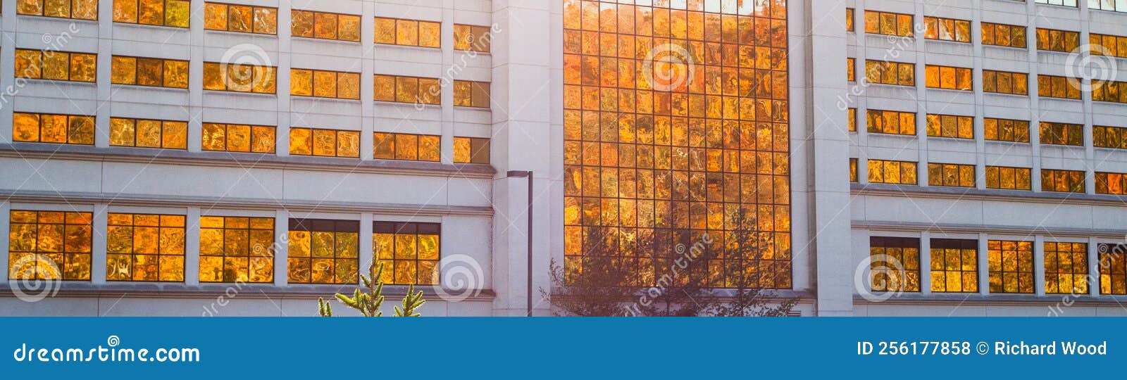 View of a Building with Reflective Windows Reflecting Autumn Colors ...
