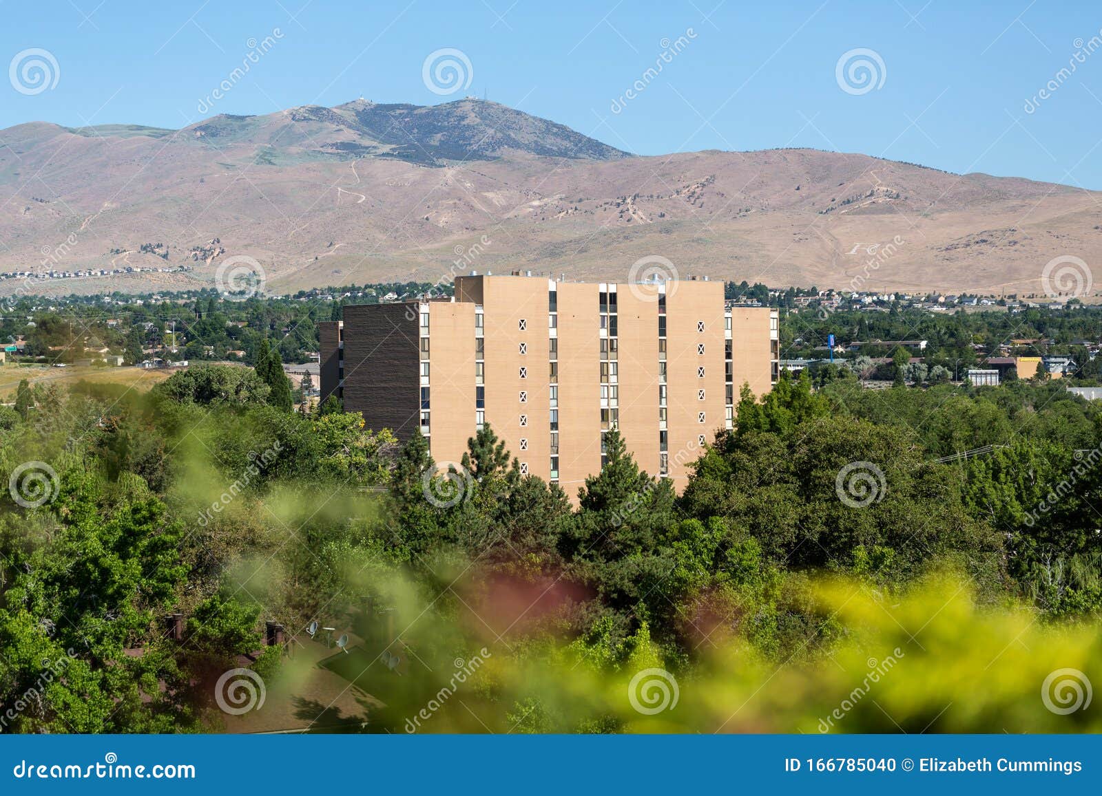 Building in Reno NV Surrounded by Trees and Greenery Stock Photo ...