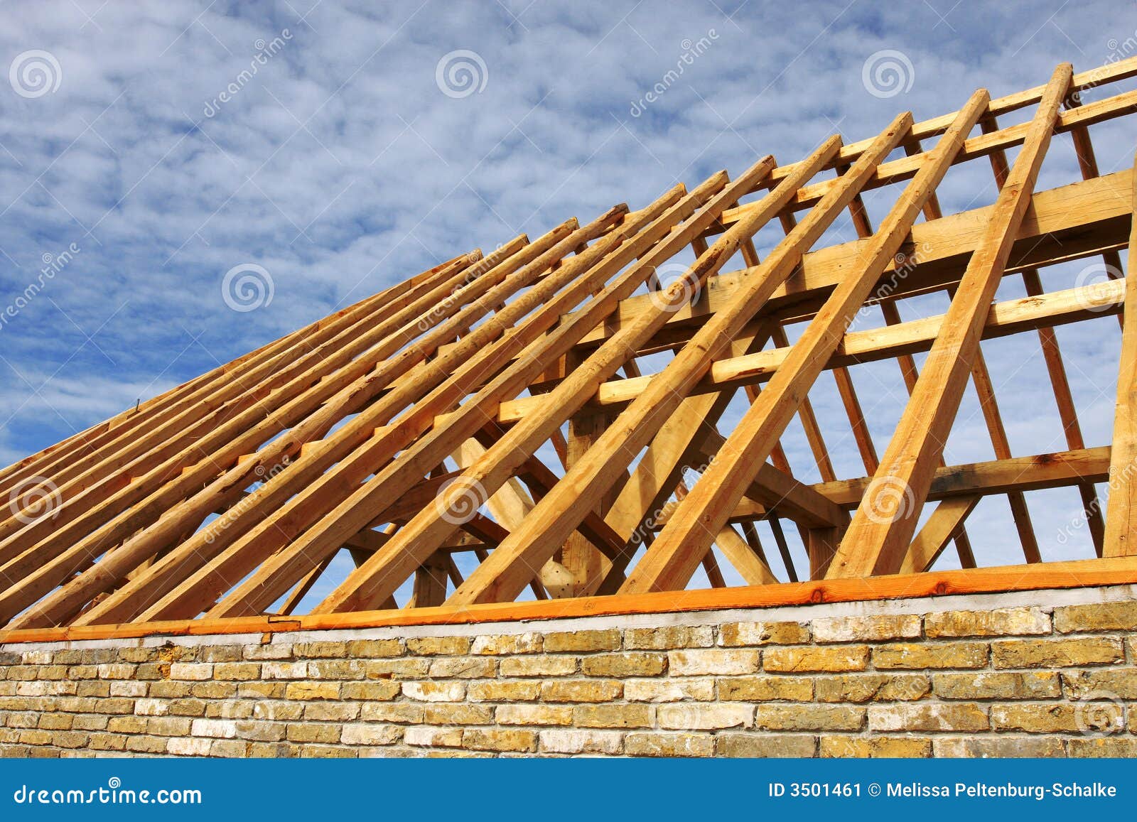 Building the roof stock image. Image of building, framing - 3501461