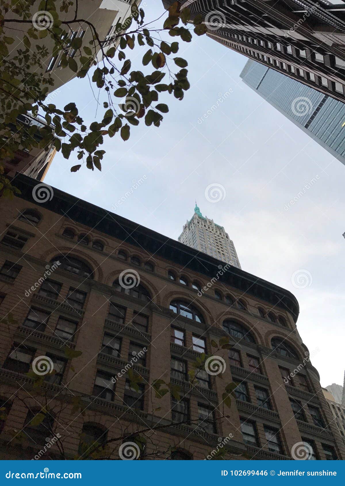 Building scape with trees stock photo. Image of trees - 102699446