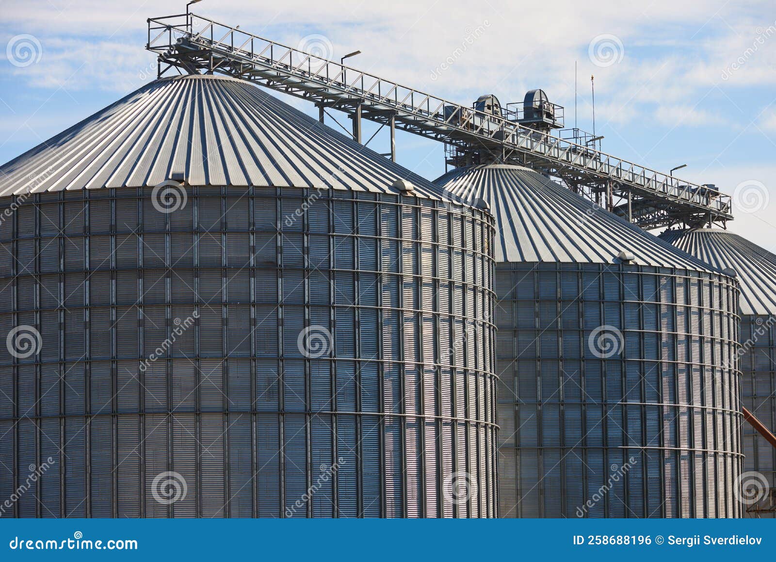 Building for Storage and Drying of Grain Crops. Agricultural Silo Stock ...