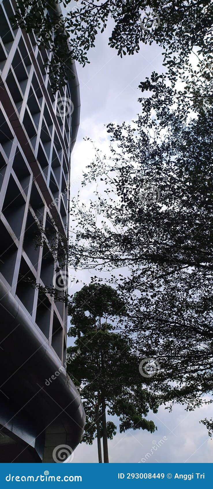 The Building is Surrounded by Tree Branches Stock Image - Image of tall ...