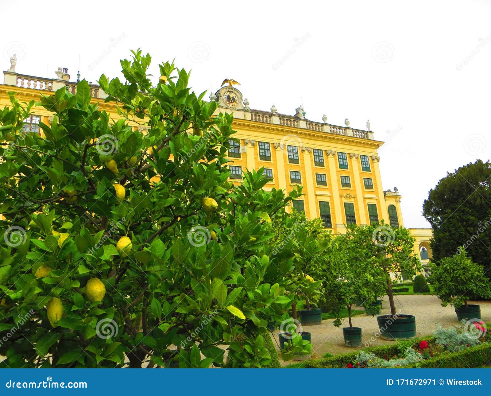 Building Surrounded by Trees, Grass and Flowers Under a Bright Sky ...