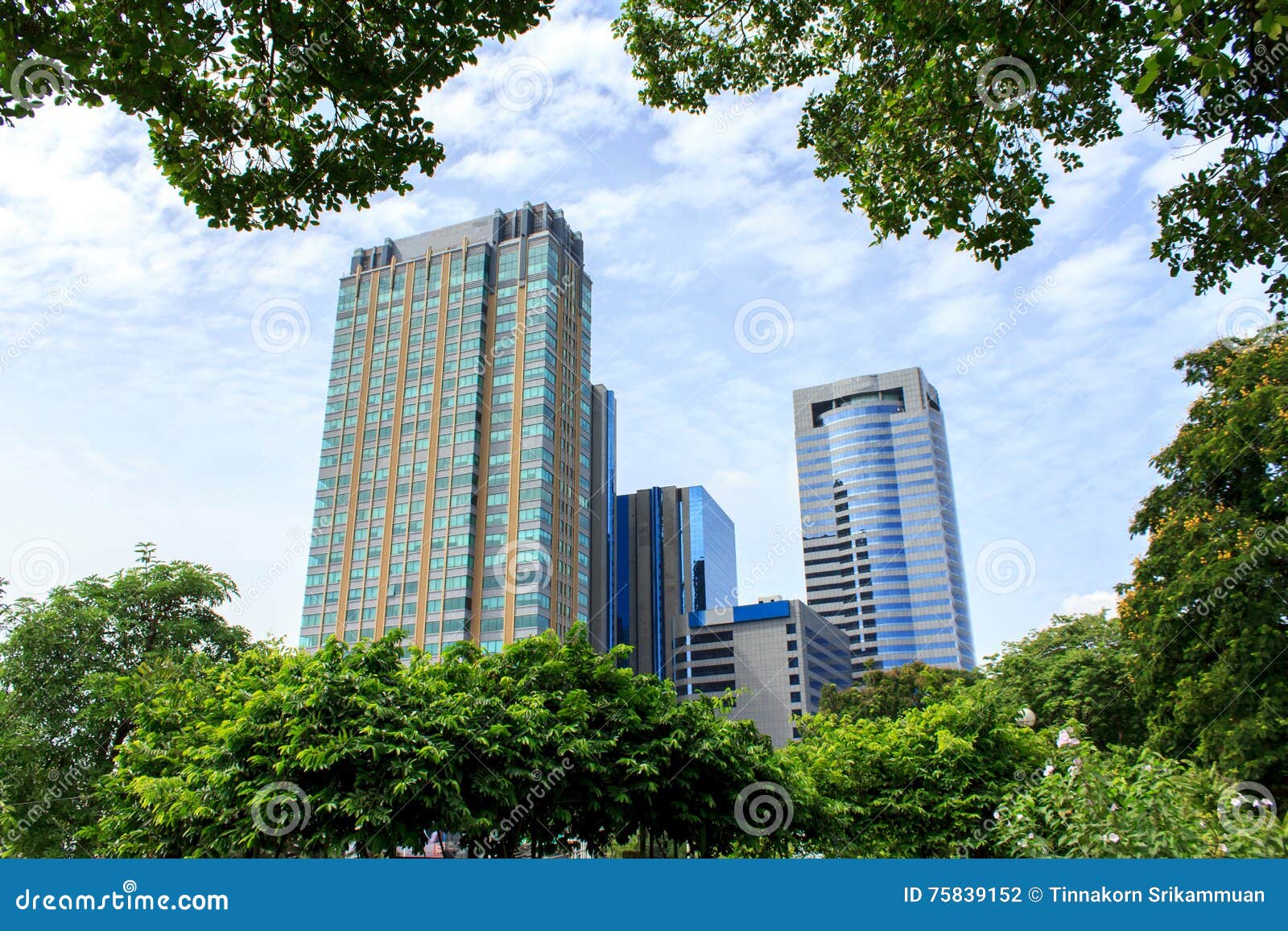 Building is Surrounded by Trees. Stock Photo - Image of health ...
