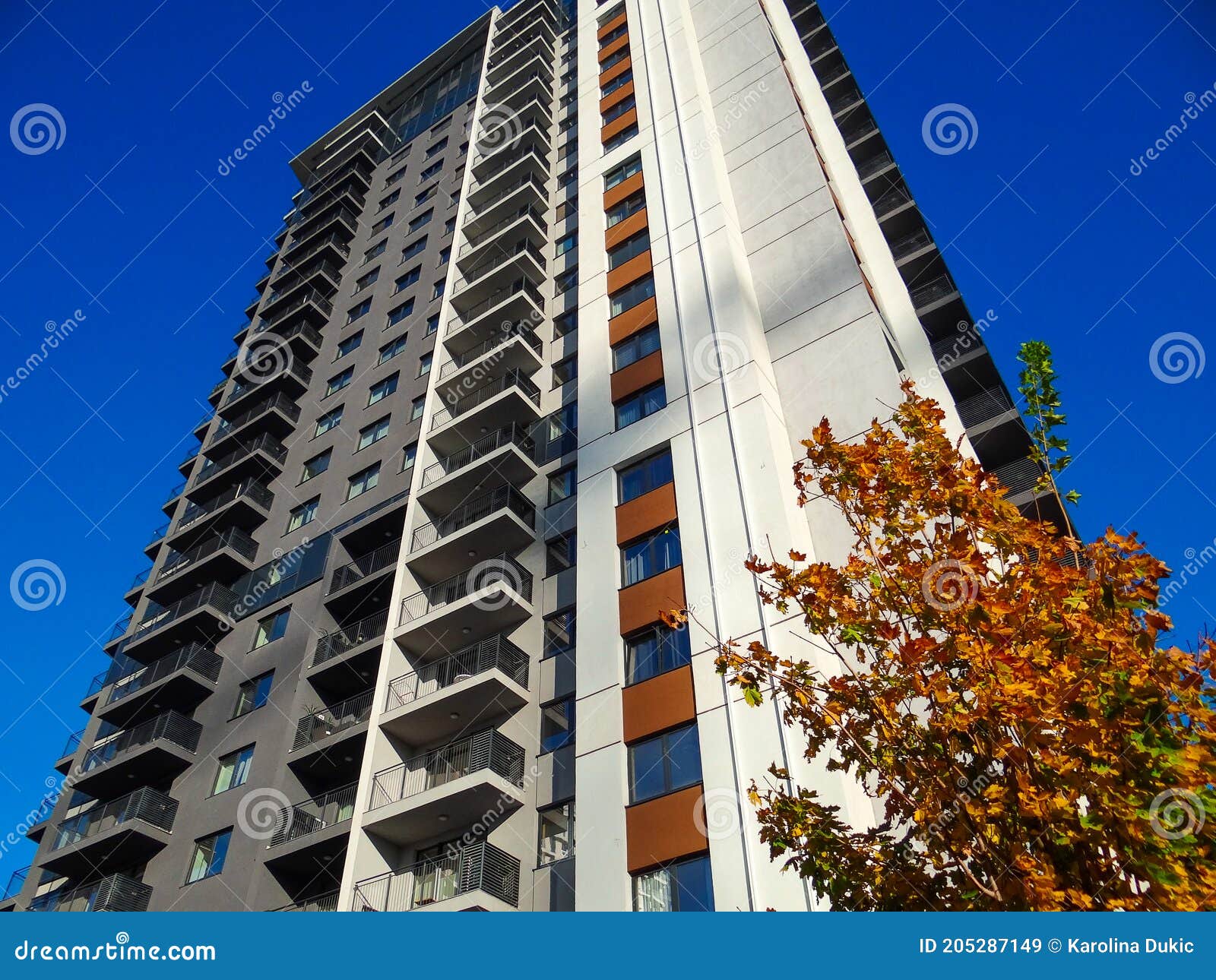 Building and Tree in the Autumn Stock Image - Image of skyscraper ...