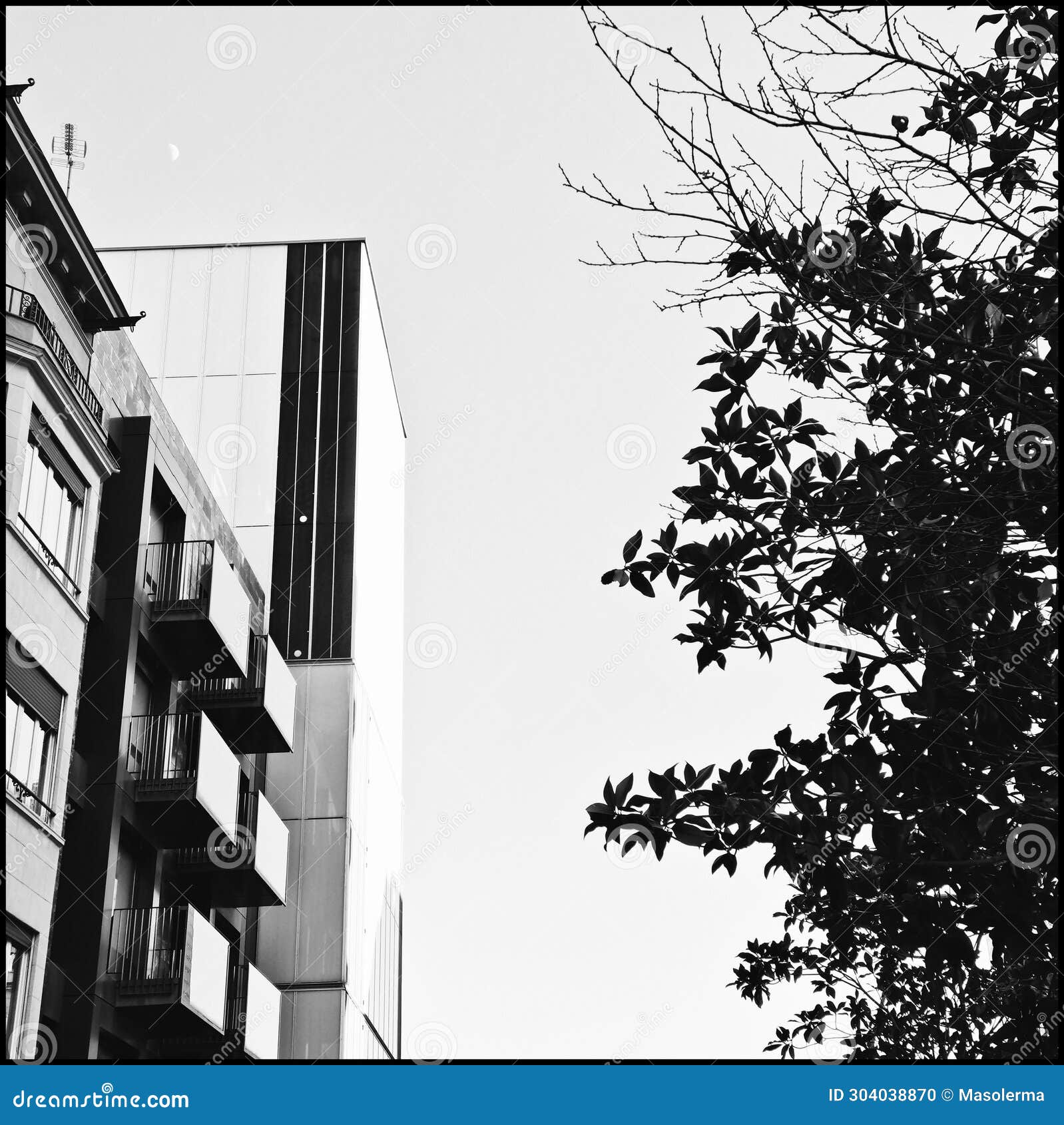 Building and Tree in Black and White. Nature Vs Civilization Stock ...