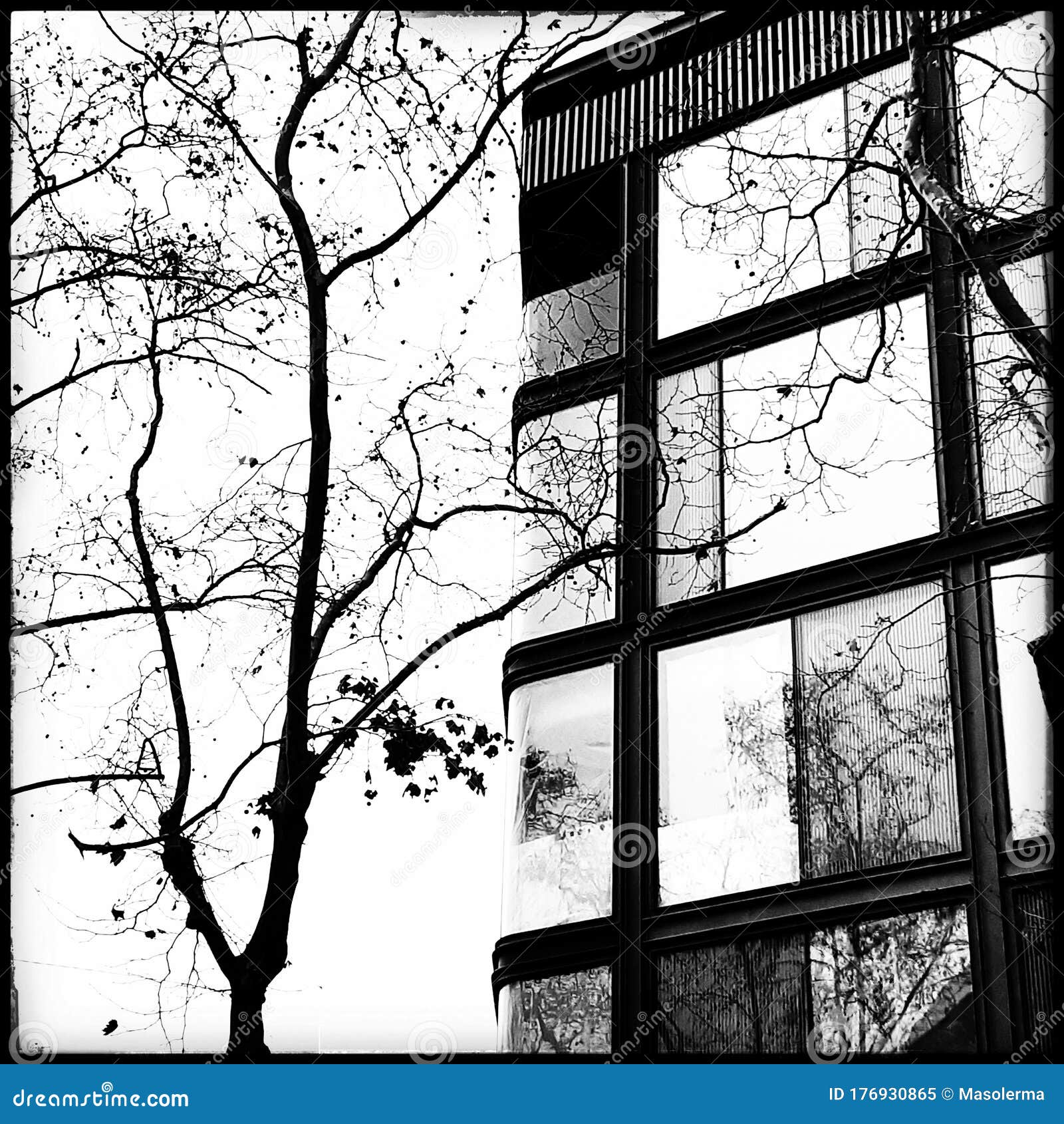 Building and Tree in Black and White. Nature Vs Civilization Stock ...